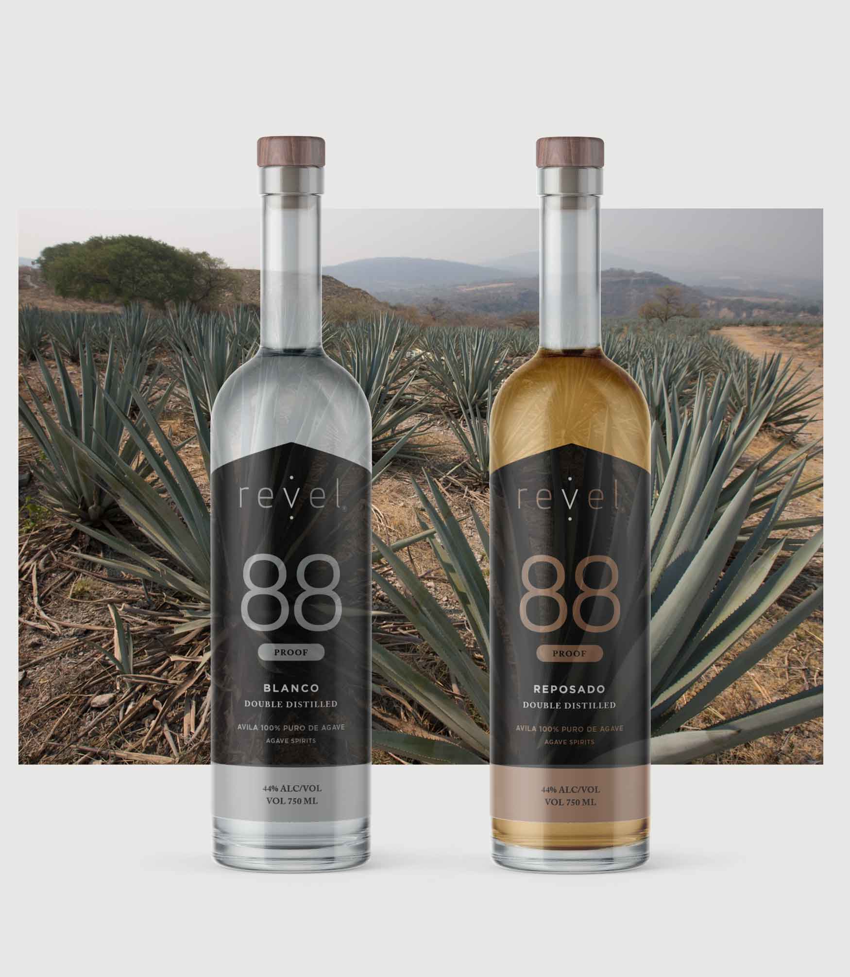 Revel Spirits | El Popo Avila and Revel Avila Reposado on Fox 5